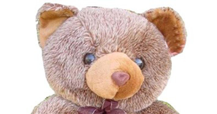 Spotlight on Huggable Toys | AGHA